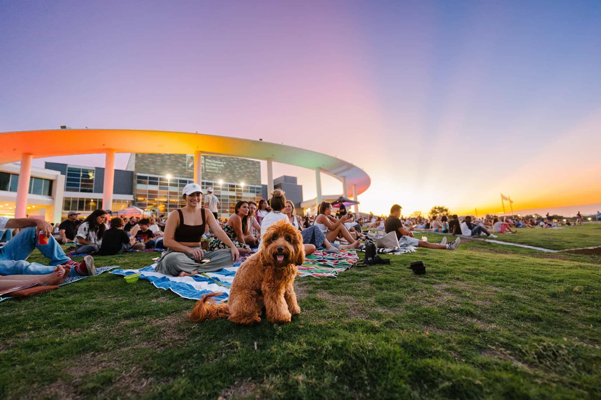 Mid-Week Intermission Artist Edition: Photo Story with Brynn Osborn, Photographer - Long Center